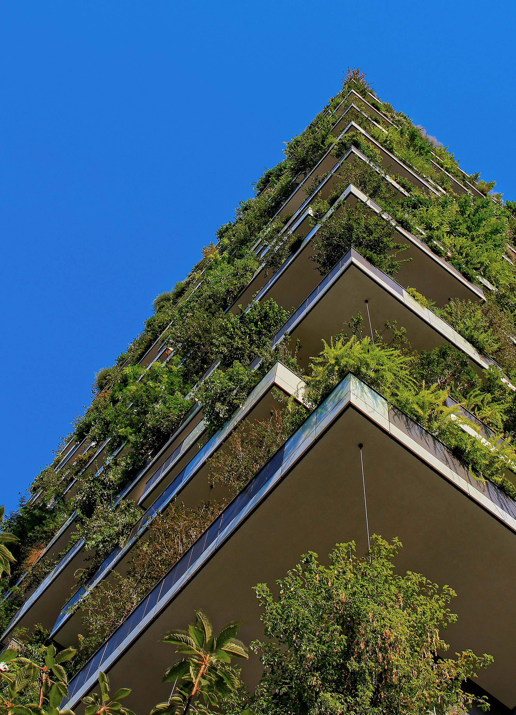 Choose green building standards | 52 Climate Actions