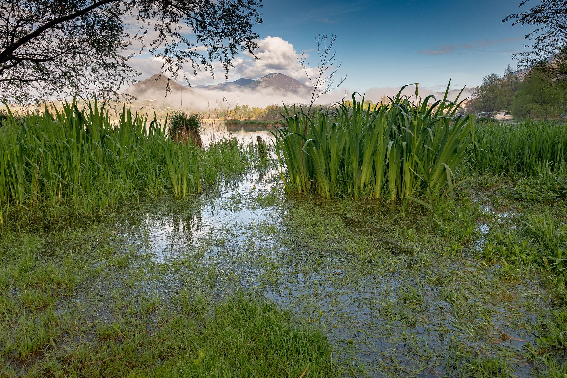 Protect and restore wetlands | 52 Climate Actions